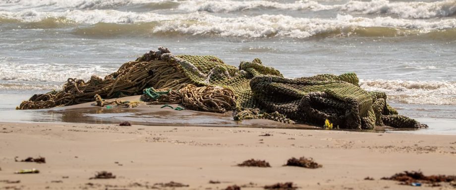 Beseeching Day | Seaside Gothic